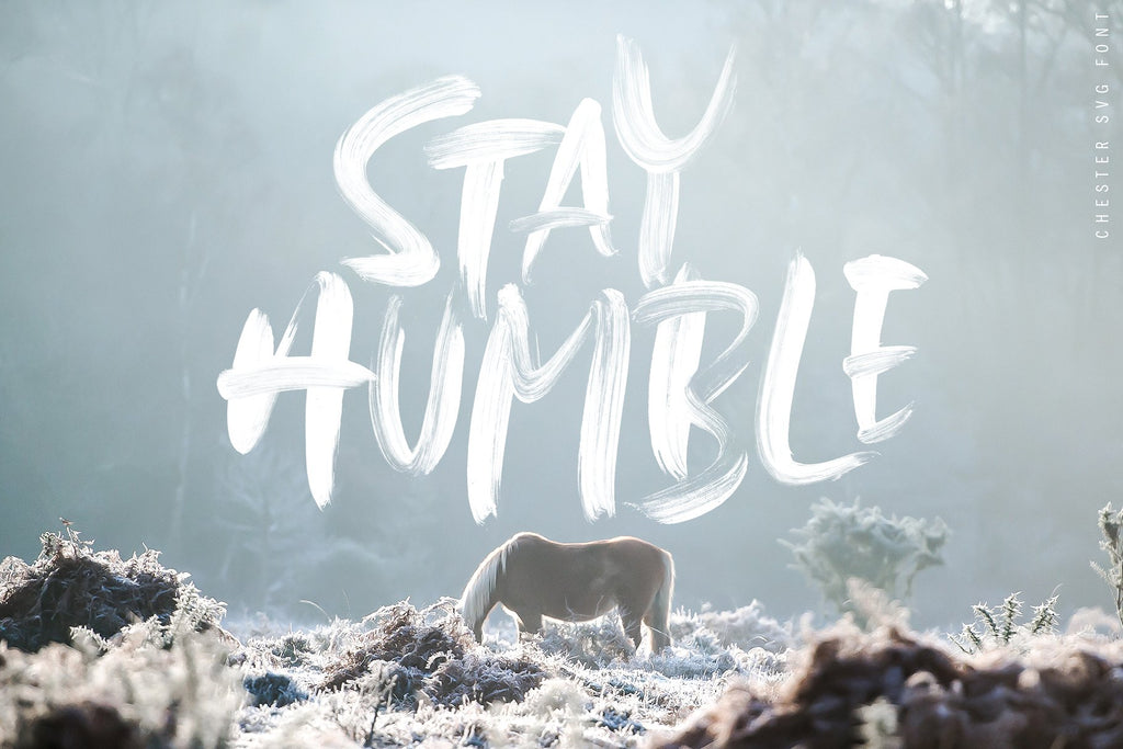 Chester SVG Font – Ivan Rosenberg